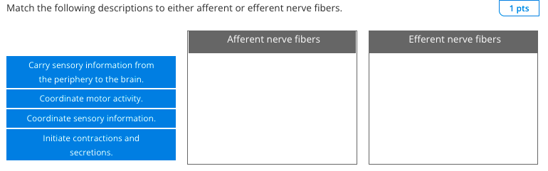 Solved Match the following descriptions to either afferent | Chegg.com