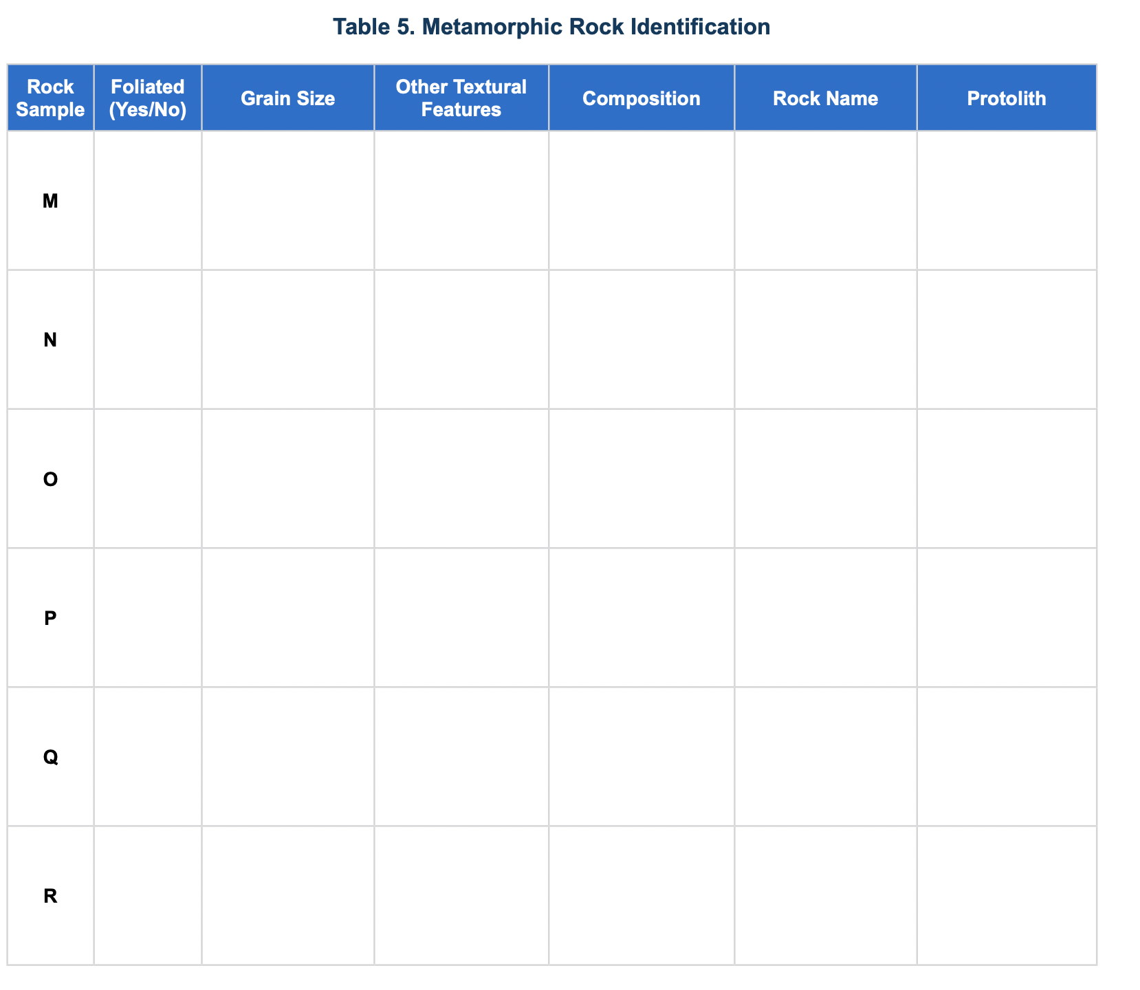 Solved Table 5. Metamorphic Rock Identification Table 4. | Chegg.com