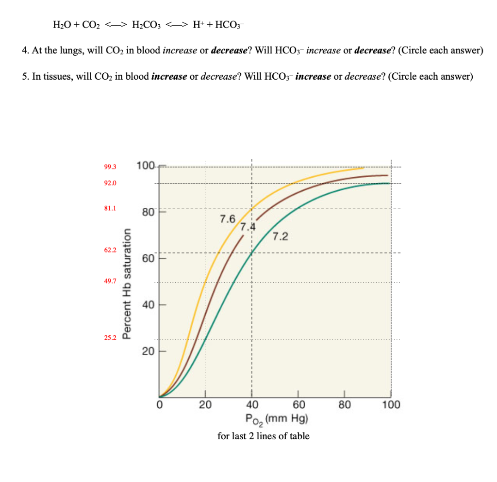 Solved H2O + CO2 H2CO3 H+ + HCO3- 4. At the lungs, | Chegg.com