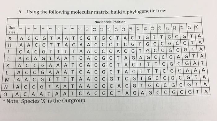 Solved 5. Using the following molecular matrix, build a | Chegg.com