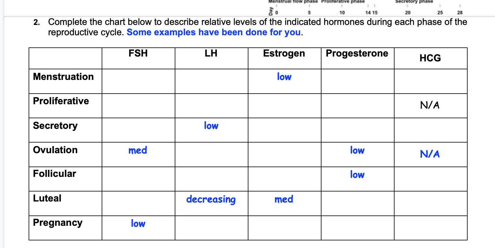 Solved instrual flow phase Proliferative phase Secretory | Chegg.com