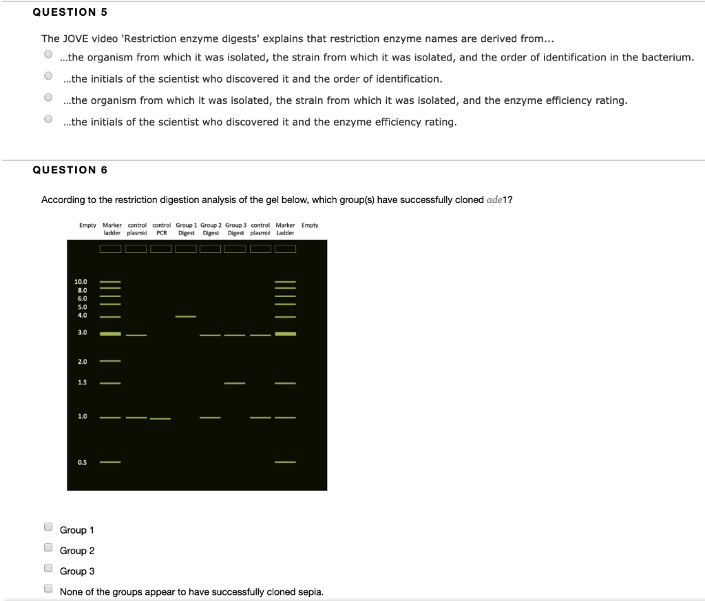 Solved QUESTION 1 The PTC-insensitive allele of TAS2R38 | Chegg.com