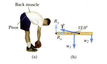 Solved A person bending forward to lift a load "with his | Chegg.com