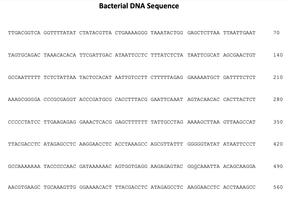 Solved What would be the lengths of the DNA coding sequence | Chegg.com