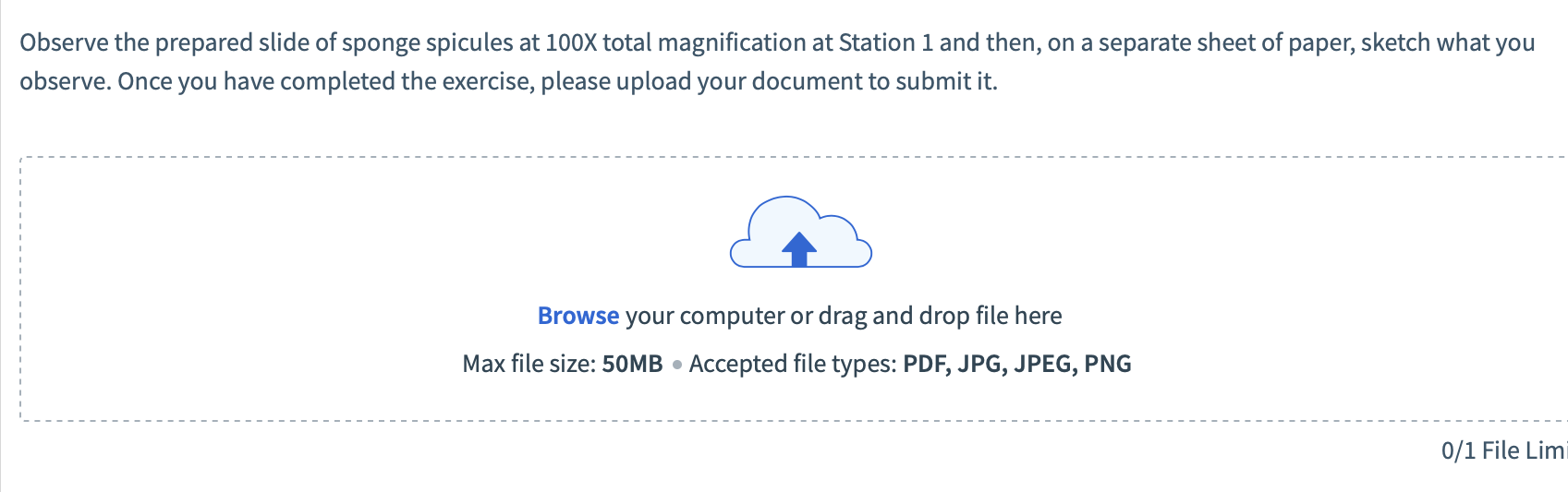 Observe the prepared slide of sponge spicules at 100X | Chegg.com