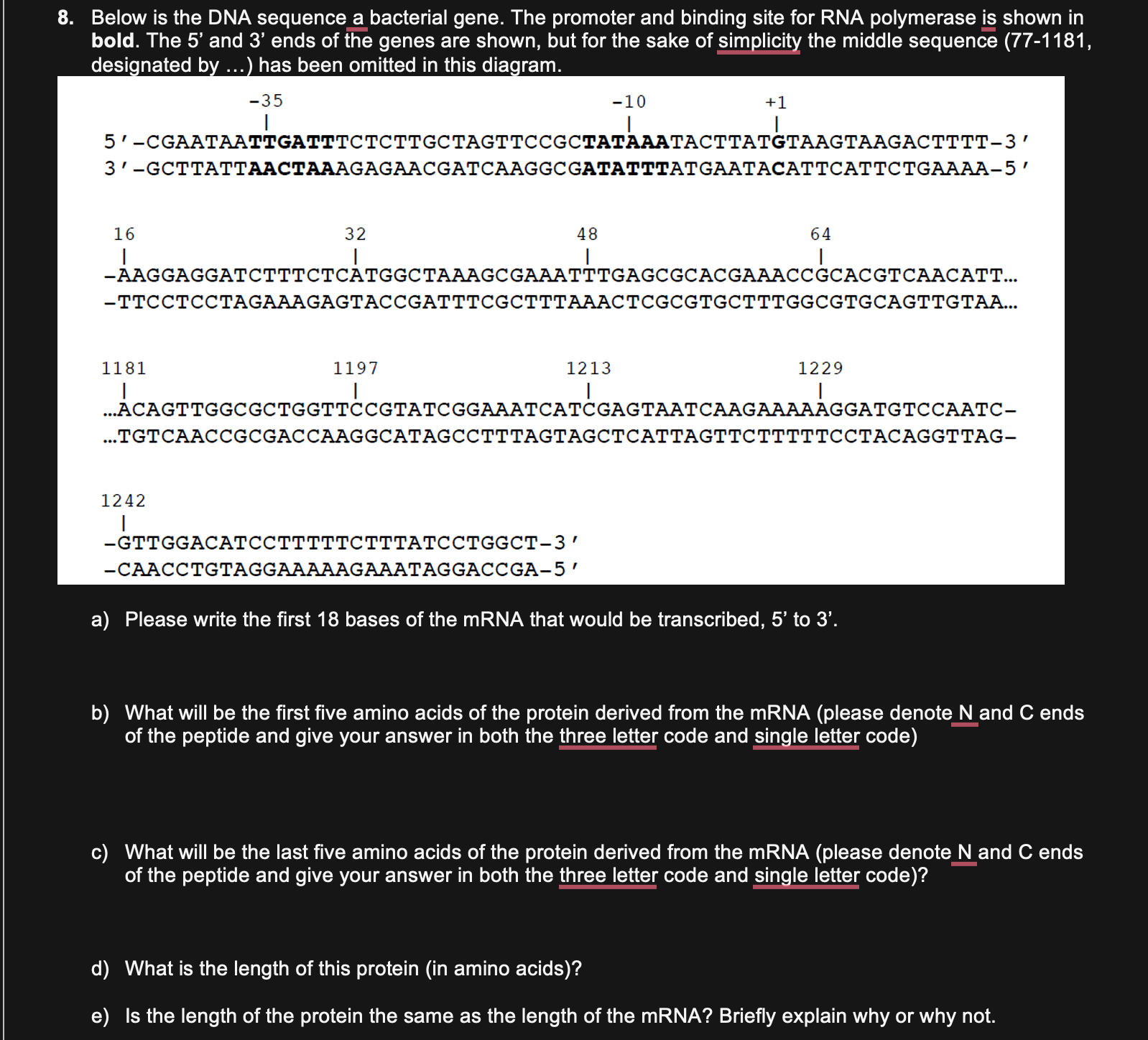 Solved Below is the DNA sequence a bacterial gene. The | Chegg.com
