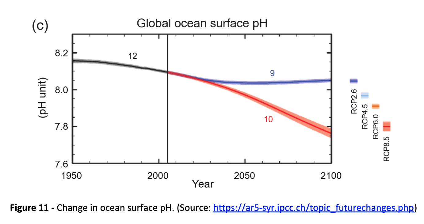 Solved Figure 11 - Change in ocean surface pH. (Source: | Chegg.com