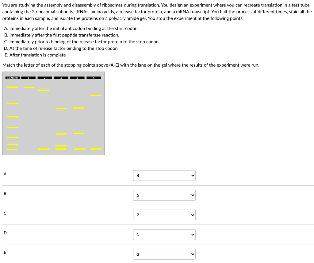 Solved You are studying the assembly and disassembly of | Chegg.com