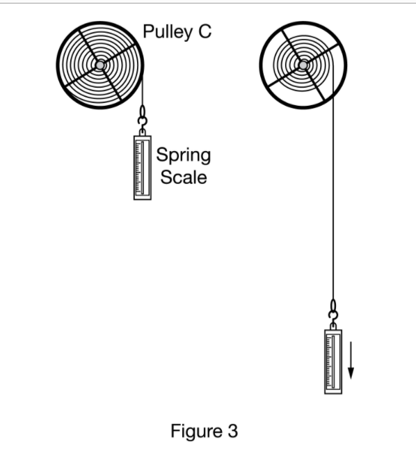 Solved (a) Two identical spring scales are each attached to | Chegg.com