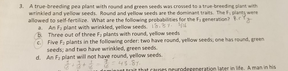 Solved 3. A true-breeding pea plant with round and green | Chegg.com