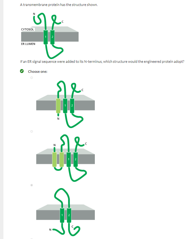 Solved The correct answer is pictured. Please explain simply | Chegg.com