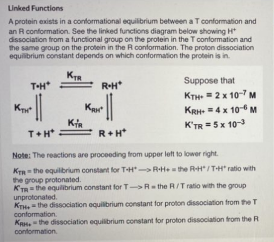Solved Linked Functions A protein exists in a conformational | Chegg.com