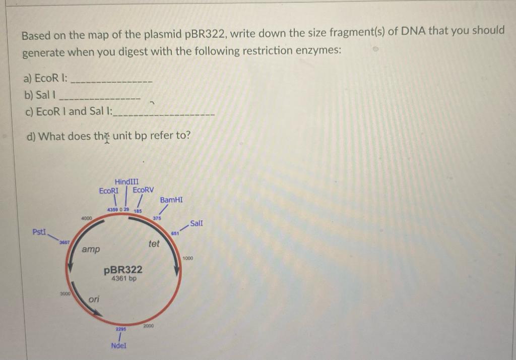 Solved Based on the map of the plasmid pBR322, write down | Chegg.com