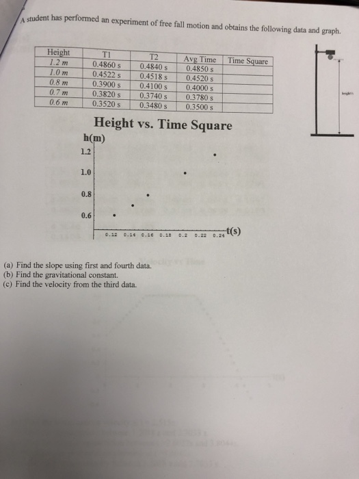 Solved A student has performed an experiment of free fall | Chegg.com