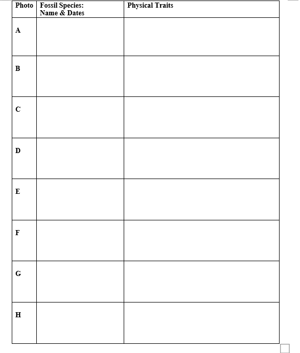 Please match | Chegg.com