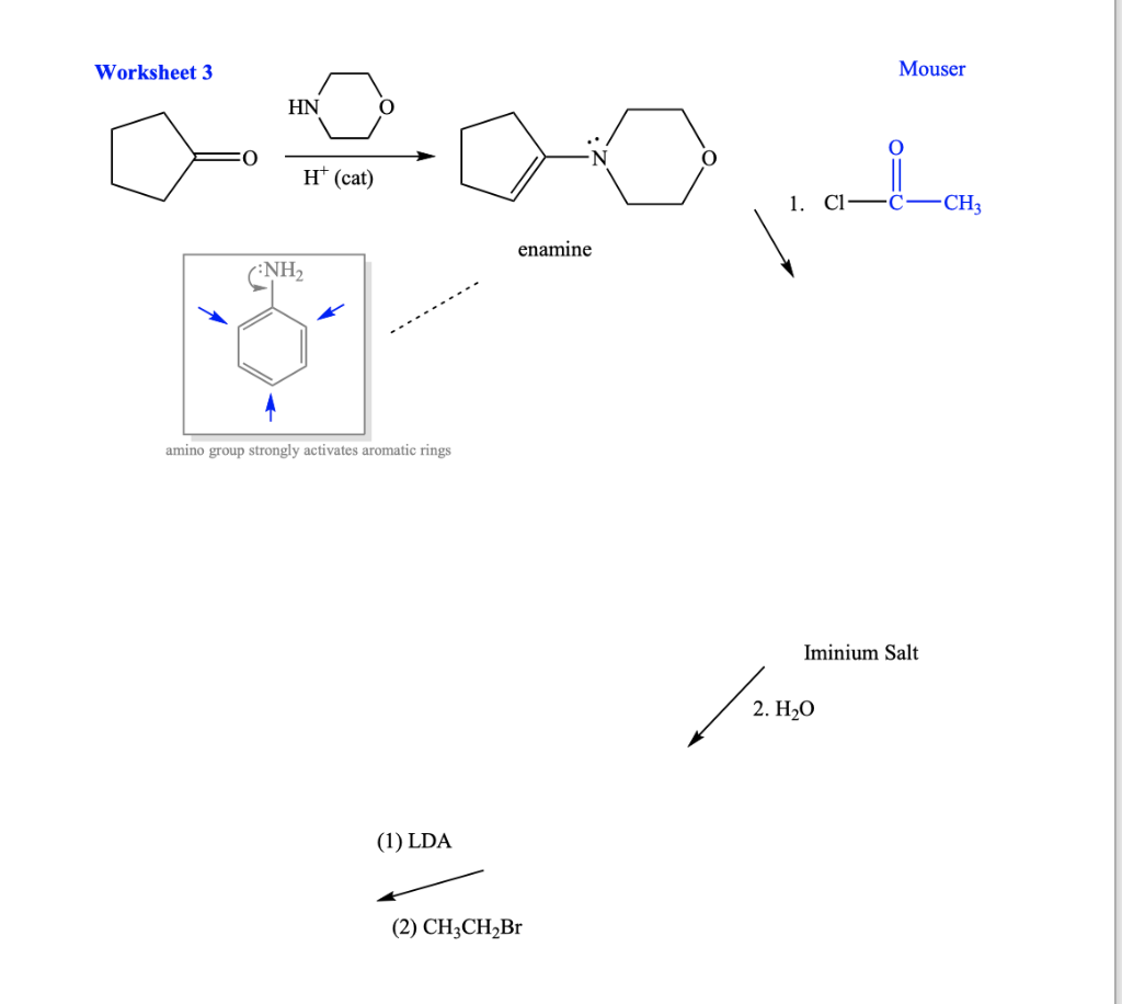 Solved Worksheet 3 Mouser HN مل کر H (cat) 1. Cl C -CH3 | Chegg.com