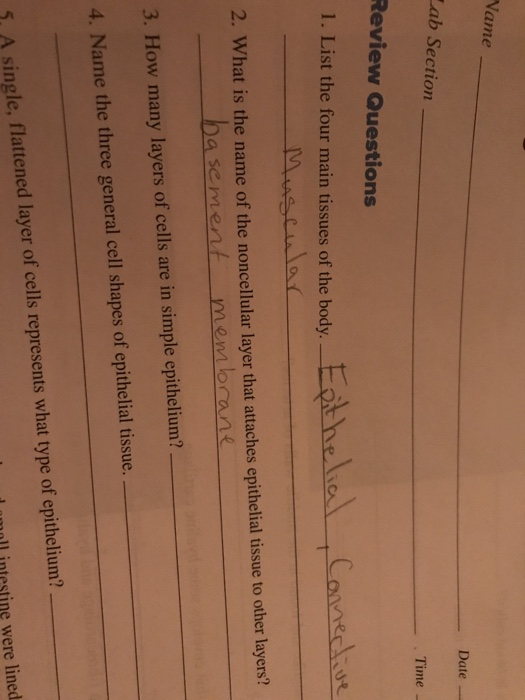 Solved Name Date Lab Section . Time- Review Questions 1. | Chegg.com