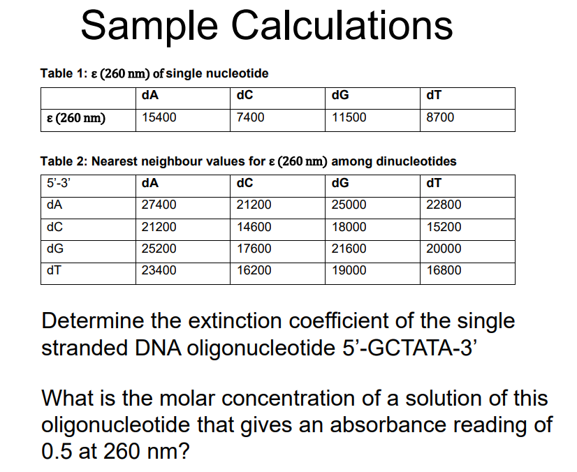 Solved Sample Calculations Table 1: ε(260 nm) of single | Chegg.com