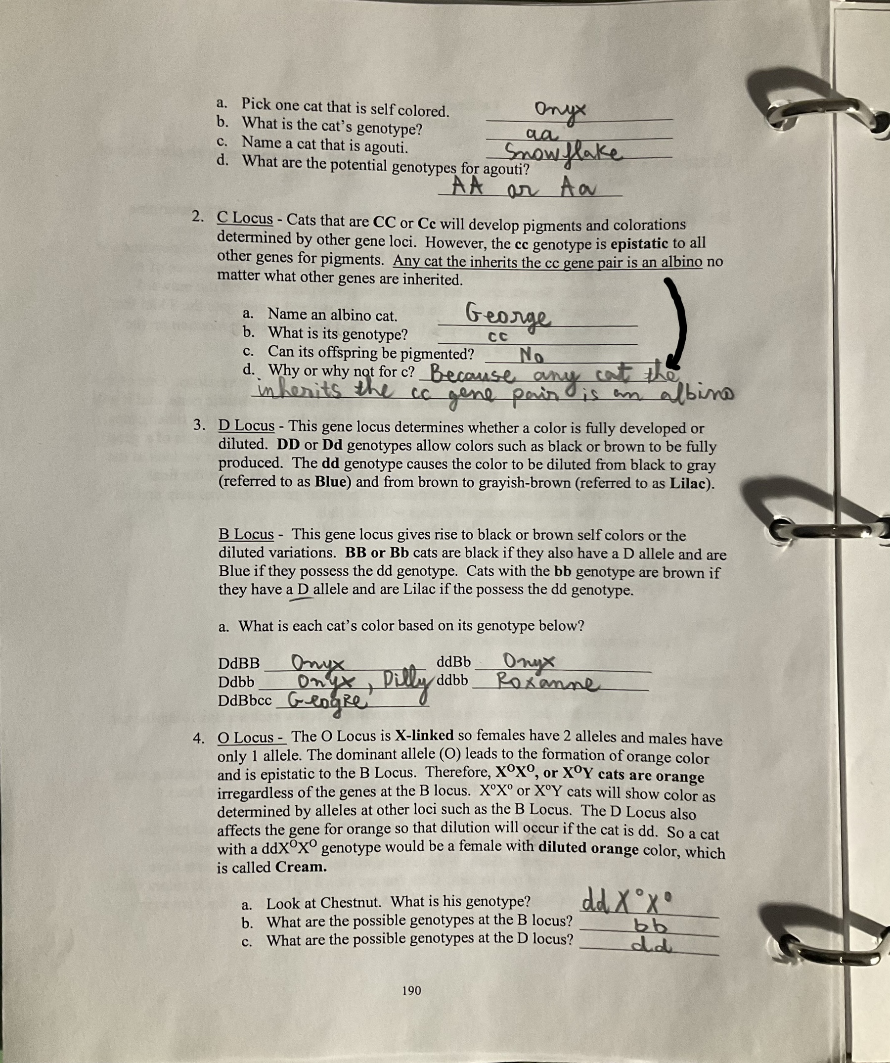 Solved Laboratory Exercise \#13 Cat Genetics Objective: This | Chegg.com