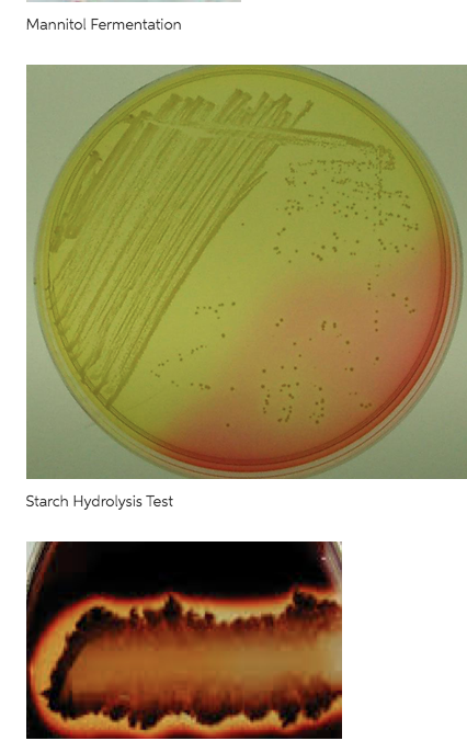 Solved Please provide the steps that you took to conclude | Chegg.com