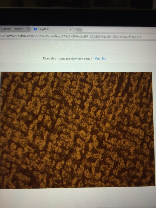 Solved 4. Sketch and label the anticipated microstructures | Chegg.com