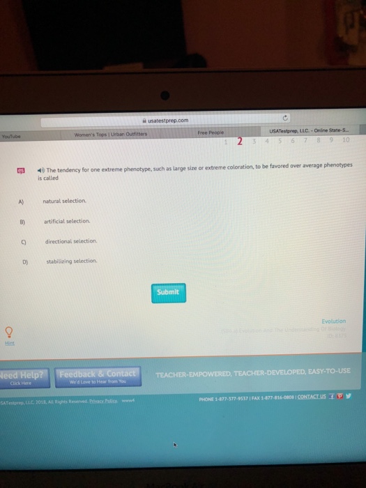 Solved usatestprep.com Women's Tops Urban Outfitters Free | Chegg.com