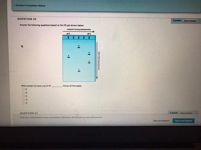 Solved Question Completion QUESTION 20 Answer the following | Chegg.com