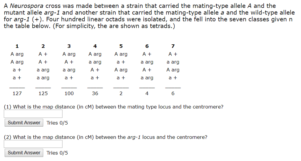 Solved A Neurospora cross was made between a strain that | Chegg.com