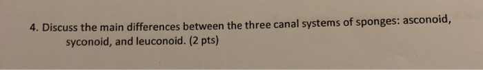 Solved 4. Discuss the main differences between the three | Chegg.com