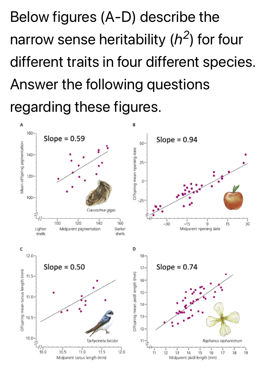 Below figures (A-D) describe the narrow sense | Chegg.com