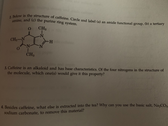 Solved Relow is the structure of caffeine. Circle and label | Chegg.com