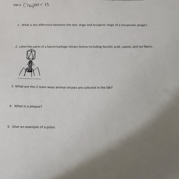 Solved Hwa Chapter 13 1. What is the difference between the | Chegg.com