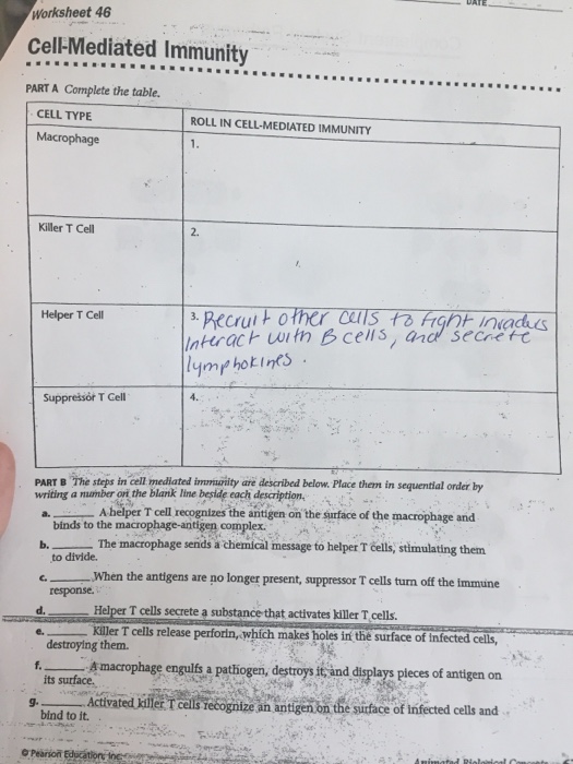 Solved Worksheet 46 Cell-Mediated Immunity PART A Complete | Chegg.com