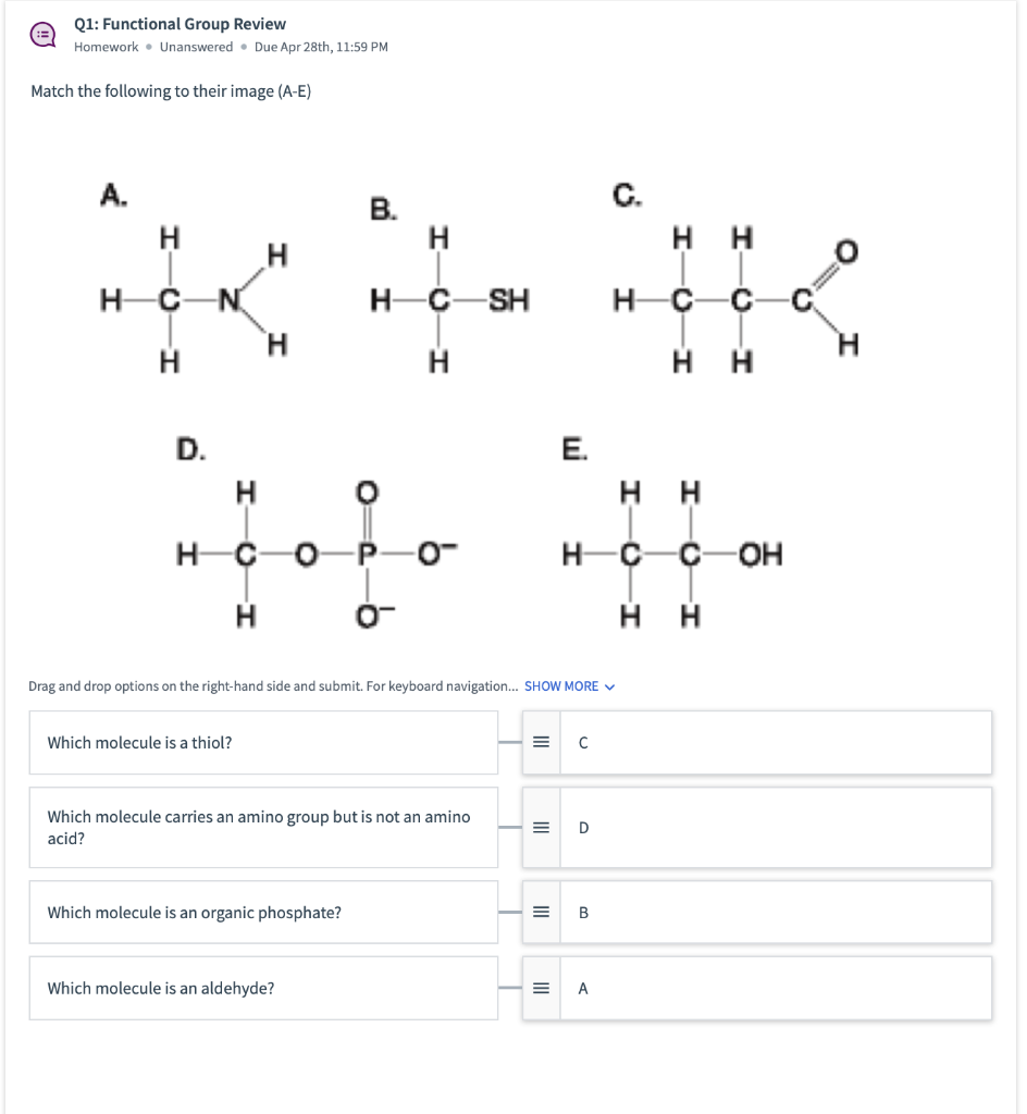 Solved Q1: Functional Group Review Homework - Unanswered - | Chegg.com