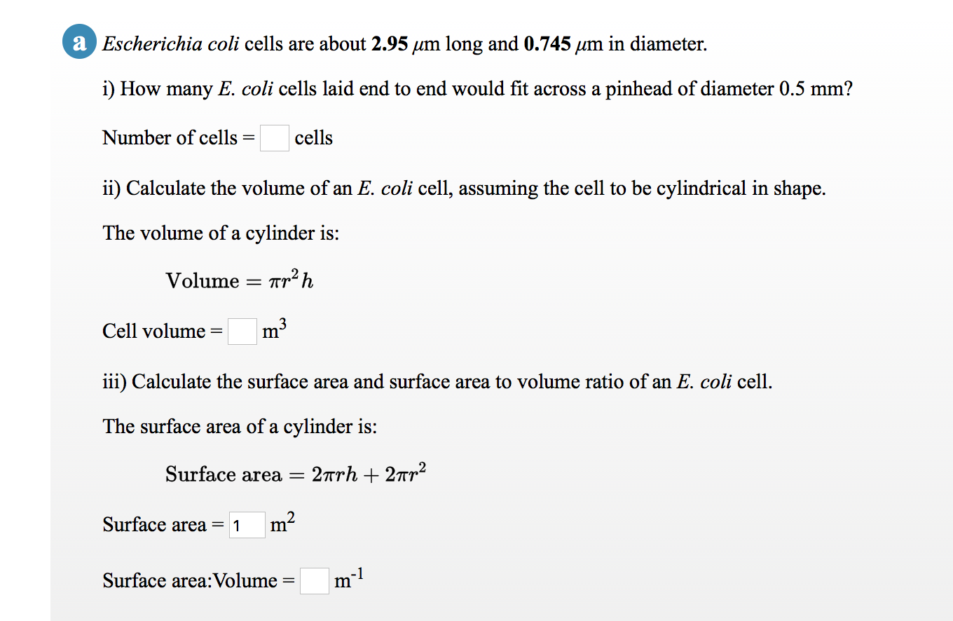 Solved a Escherichia coli cells are about 2.95 um long and | Chegg.com