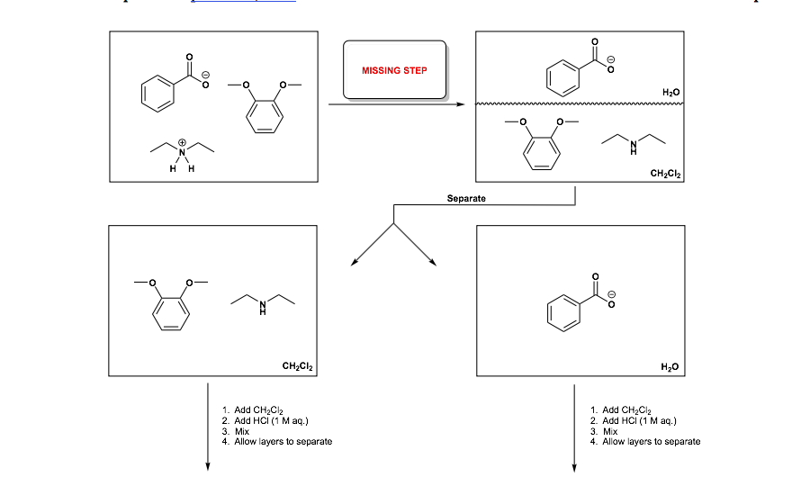 Solved Below Is An Extraction Flowchart For The Separation