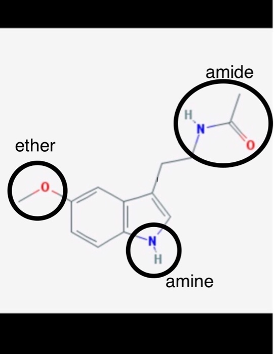 Solved amide ether 0 0 amine | Chegg.com