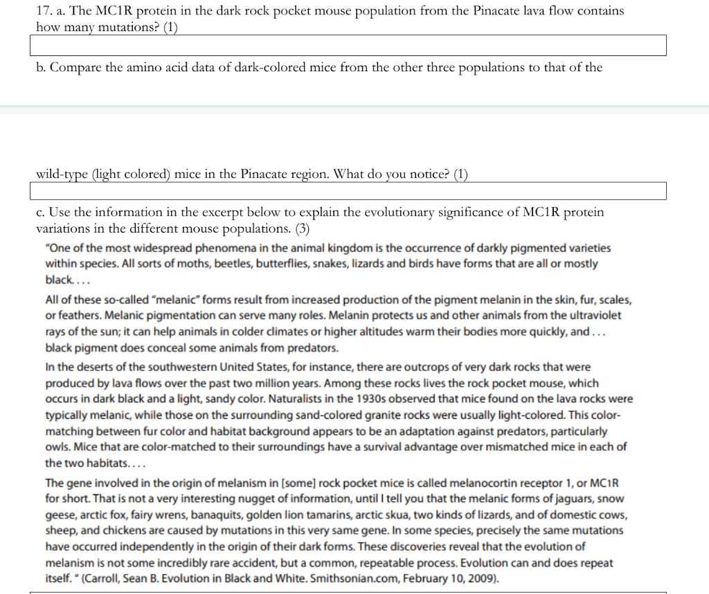 Solved 17. The Mc1r gene encodes a protein called the | Chegg.com