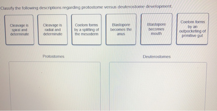 Solved Classify the following descriptions regarding | Chegg.com