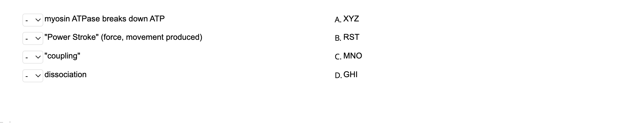 Solved Match the following events of the cross bridge cycle | Chegg.com