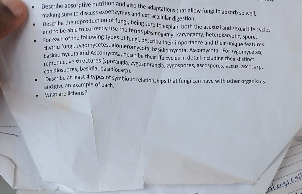 Describe absorptive nutrition and also making sure | Chegg.com