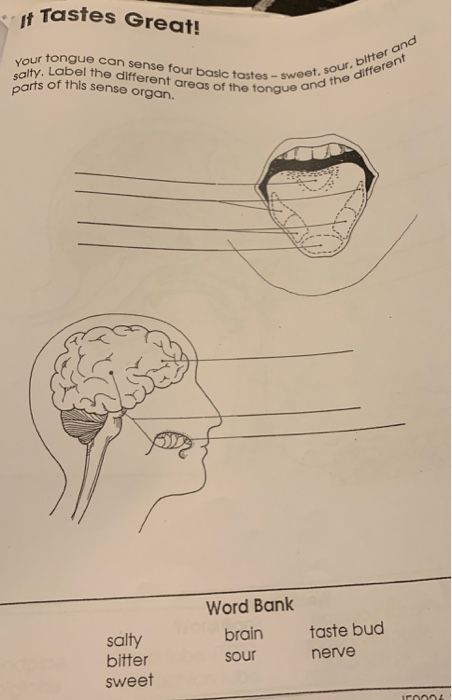 Solved Tastes Great! our tongue can sense four basic tastes | Chegg.com