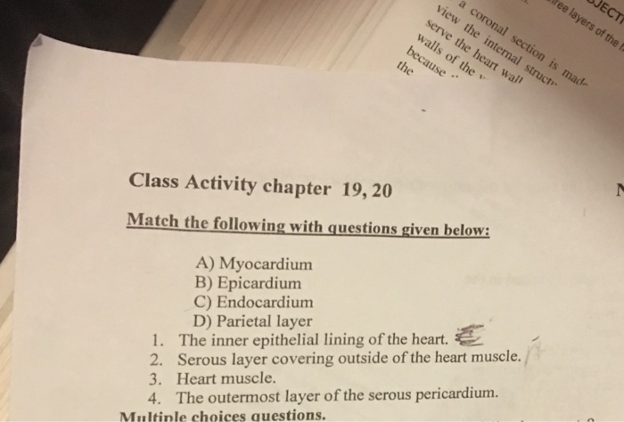 Solved Class Activity chapter 19,20 Match the following with | Chegg.com