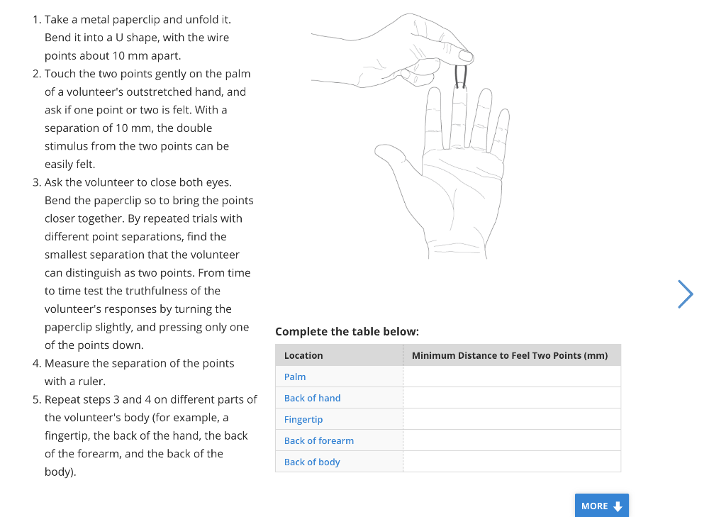 Solved C 1. Take a metal paperclip and unfold it. Bend it | Chegg.com
