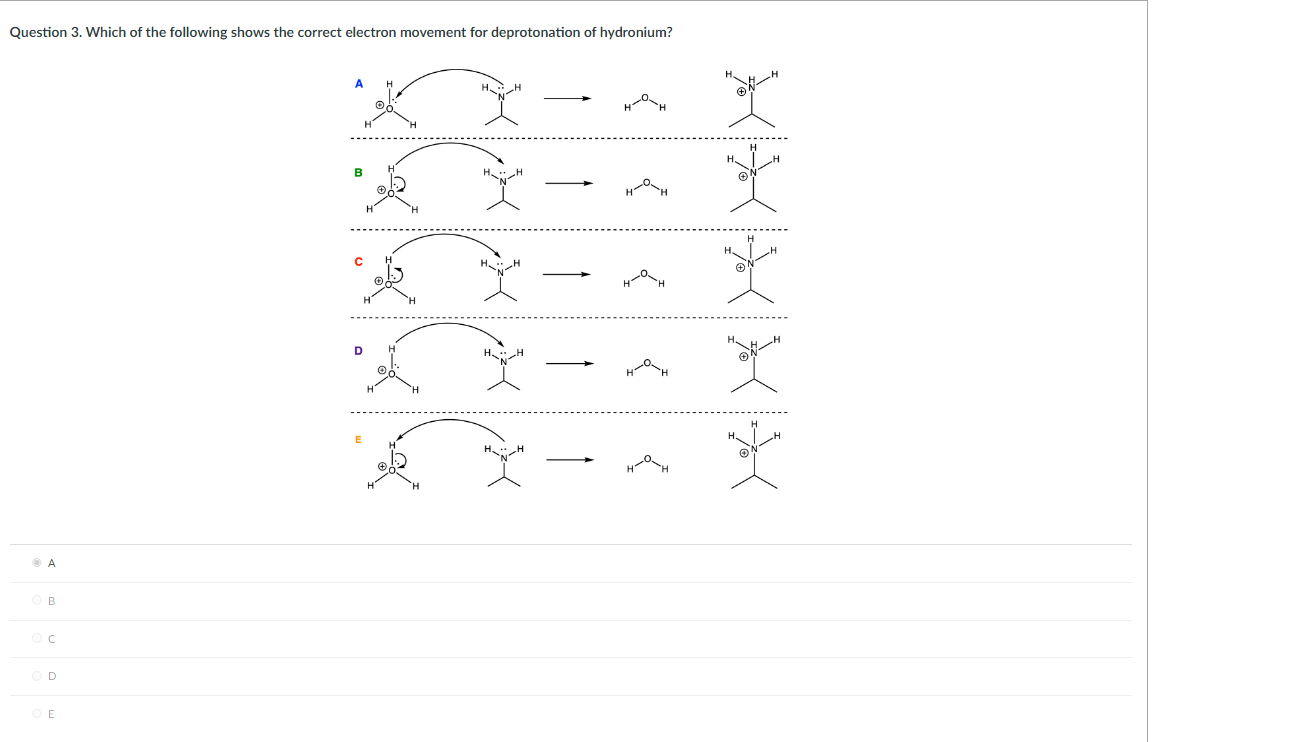 Solved Question 3 Which Of The Following Shows The Correct 0923