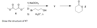Solved 1) NaOCH3 2) Y x 3) H3O+,Δ Draw the structure of Y ? | Chegg.com