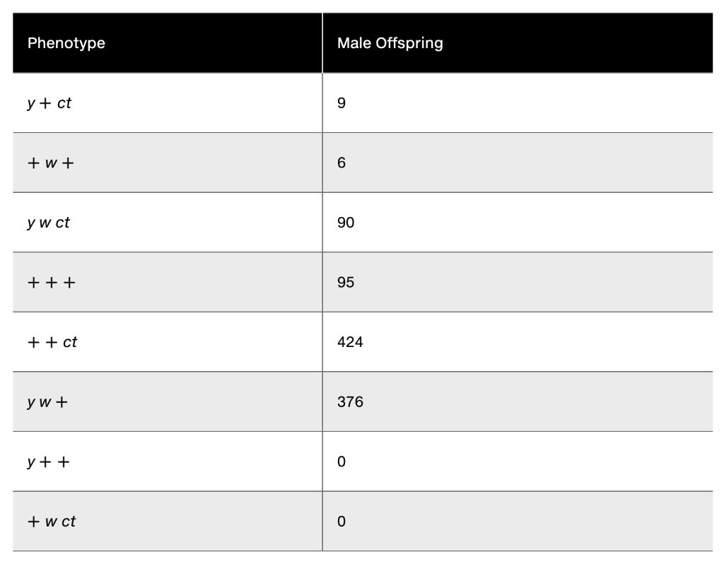 Solved Another cross in Drosophila involved the recessive, | Chegg.com