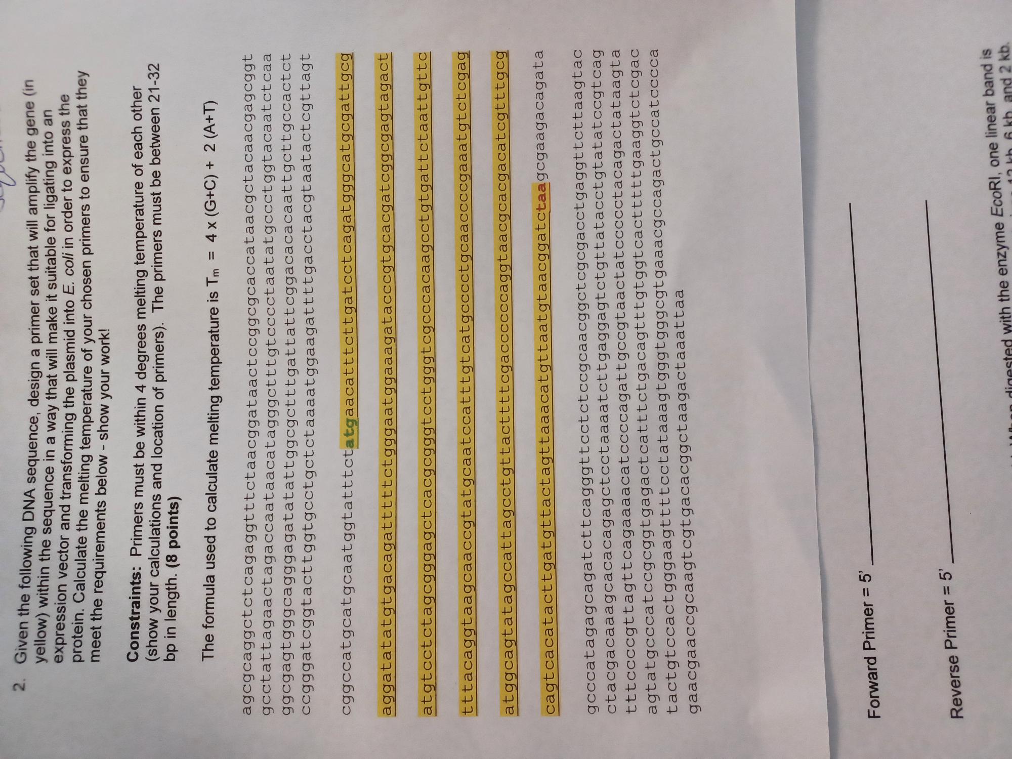 2. Given the following DNA sequence, design a primer | Chegg.com