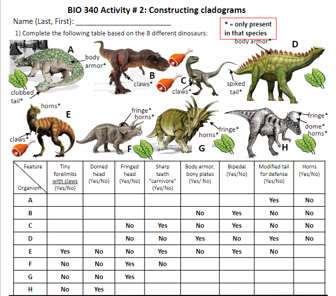 D BIO 340 Activity # 2: Constructing cladograms Name | Chegg.com