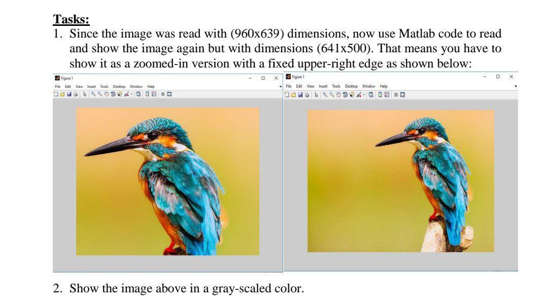 Solved Tasks: 1. Since the image was read with (960x639) | Chegg.com